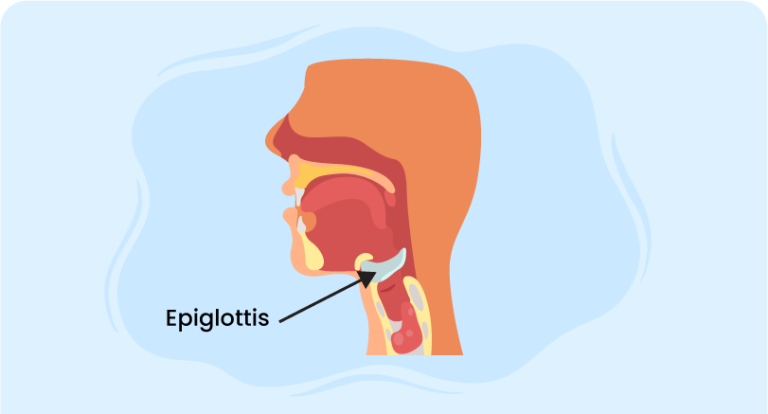 Online Emergency Medicine Course - medtigo Courses