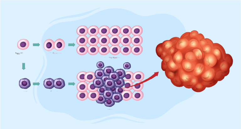 Hematology Course Online - medtigo Courses
